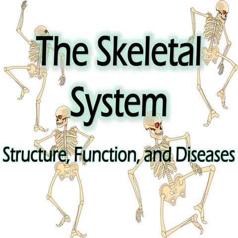 4. skeletal system | PPTX