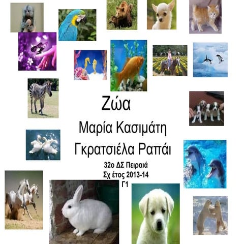 Αφιέρωμα στα ζώα | PPT