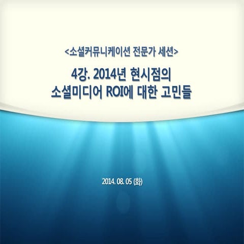 2014년 현시점의 소셜미디어 Roi 분석방법에 대한 고민들 Ppt