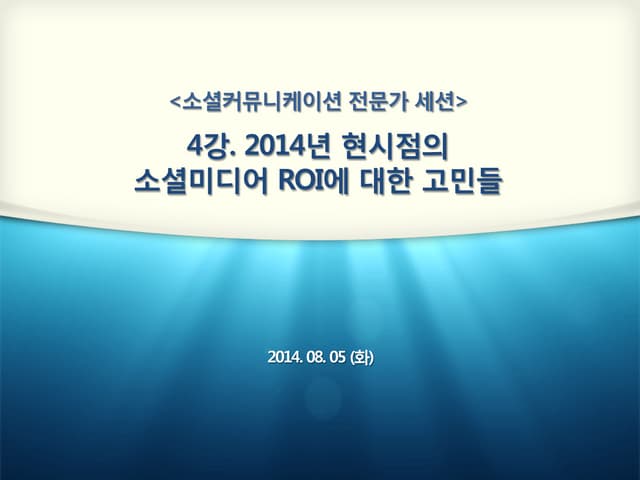 2014년 현시점의 소셜미디어 Roi 분석방법에 대한 고민들 Ppt