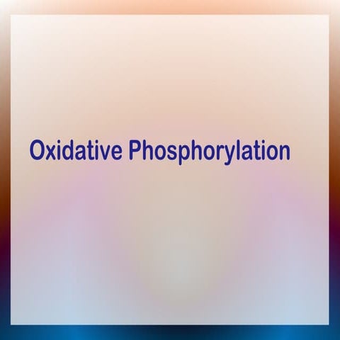 4. oxidative phosphorylation | PPT