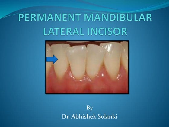Permanent Maxillary Central Incisor | PPT