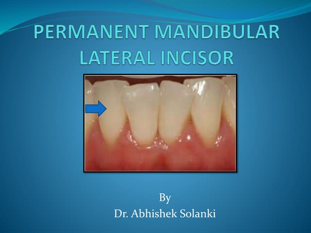 PERMANENT MAXILLARY CANINE | PPTX
