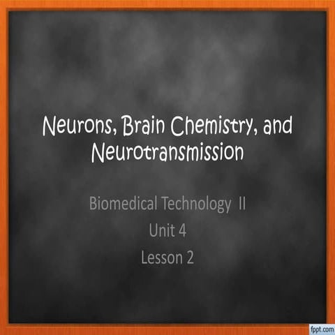 4.02 neurons, brain chemistry, and neurotransmission | PPTX