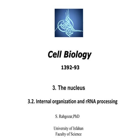 4.nucleus2- cell biology | PPT