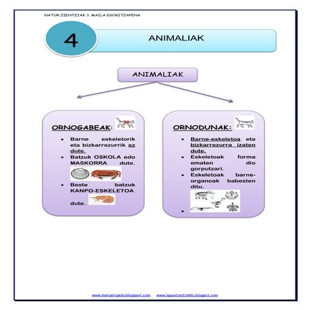 4. animaliak | PDF