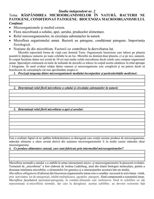 Muschii toracelui si abdomenului | PPTX