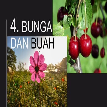 Bunga dan buah Kelas XI | PPTX