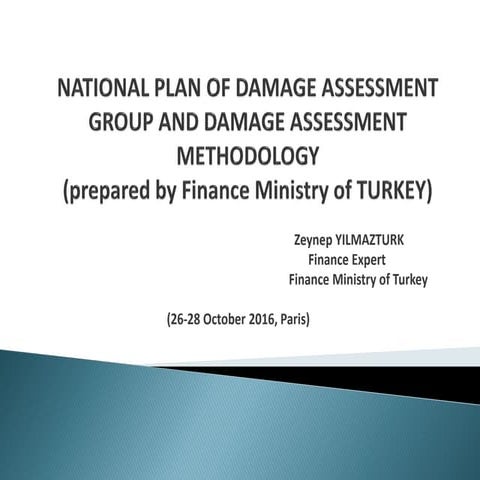 Damage Assessment Methodology, Zeynep Yilmazturk, Finance Ministry ...