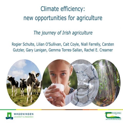 Climate efficiency − New opportunities for agriculture | PPT
