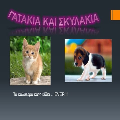 ΠΑΡΟΥΣΙΑΣΗ ΓΙΑ ΤΑ ΣΚΥΛΙΑ ΚΑΙ ΤΙΣ ΡΑΤΣΕΣ ΤΟΥΣ | PPT