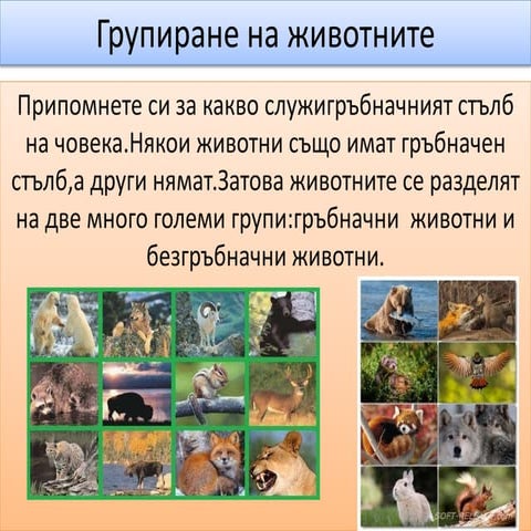 групиране на животните 4 клас Pptx