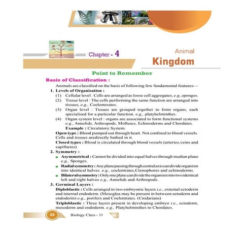 Classification of Animal Kingdom | PDF