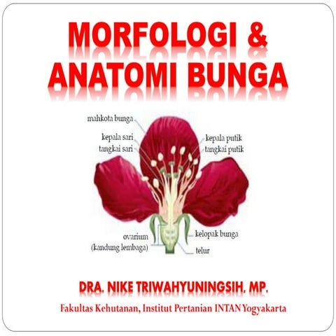Morfologi tumbuhan pepaya | PDF