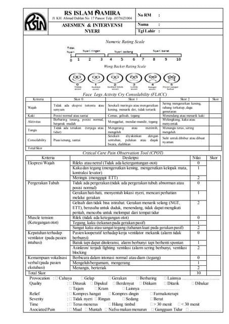 Critical Care / ICU assessment and Monitoring Sheet | PDF
