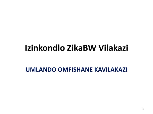 iSIZULU | PPTX