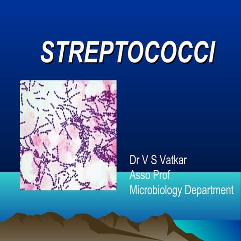 4.streptococcus | PPT