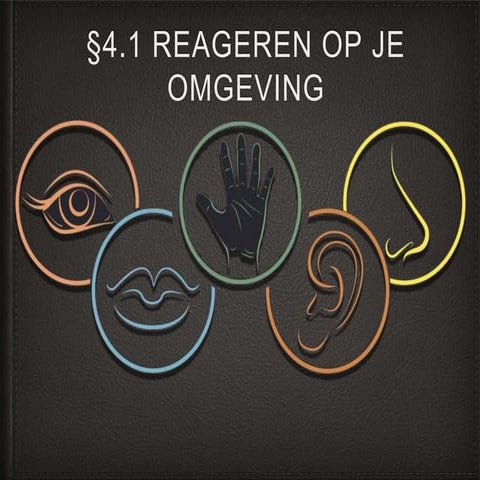 4.1 reageren op je omgeving ppt | PPT