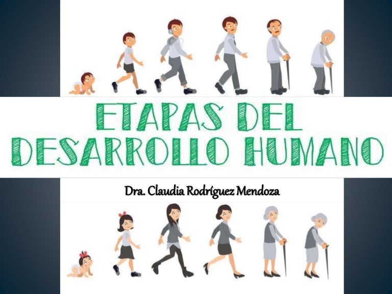 Etapas del desarrollo humano