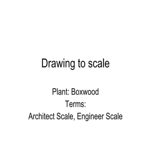 Scale drawing project