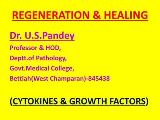 Healing_and_Repair presentation lecture.ppt