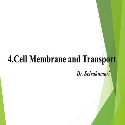 4. cell membrane and transport 7-1-19.pptx