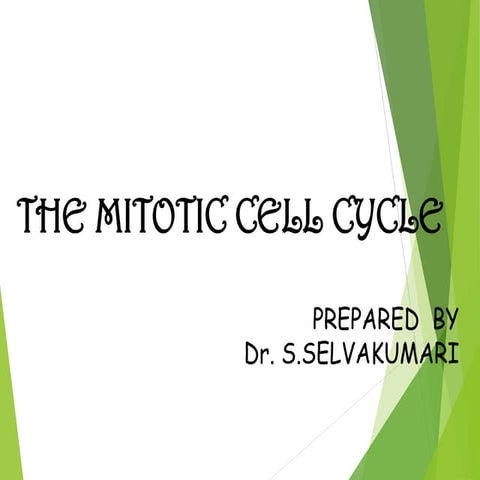 The Mitotic Cell Cycle | PPT