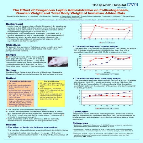 Independent Research Poster | PDF