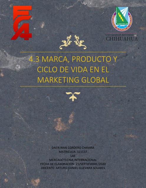 Marca, producto y ciclo de vida | DOCX