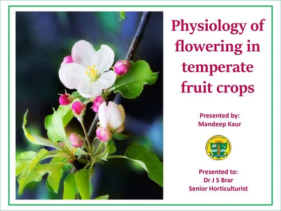 Physiology of fruit : fruit set, development, growth, flower and fruit ...