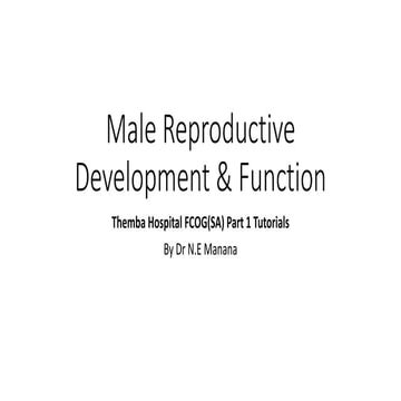 4. reproductive development & function | PPTX