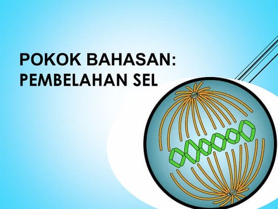 Bab 4 (Pembelahan sel) kelompok 1 pada kelas 12 IPA.pdf
