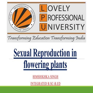 Sexual reproduction in flowering plant | PPT