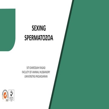 4. SEXING SPERMA.pptx
