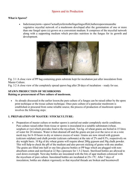 Spawn production | PDF