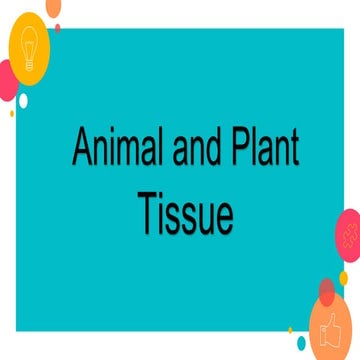 Q1C1L1 Animal and Plant Organ Systems and their Functions (2).pptx