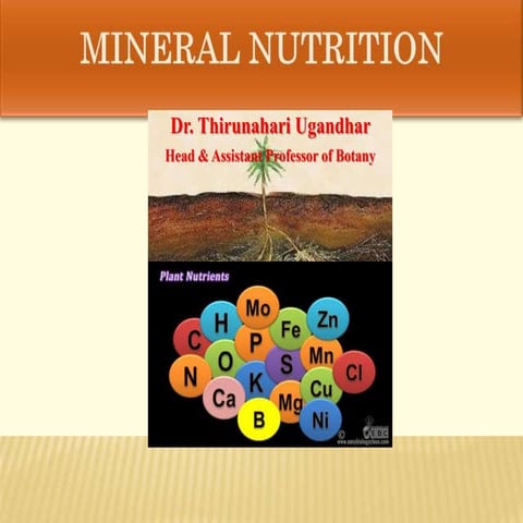 4. Minerals ppt.pptx