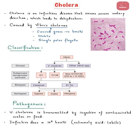 4. Cholera.pdf