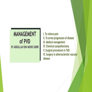 4. MANAGEMENT PVD.pptx