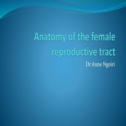 4.Female Reproductive anatomy.pptx
