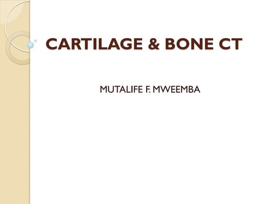 CARTILAGE | PPTX