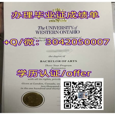 4西安大略大学.pdf