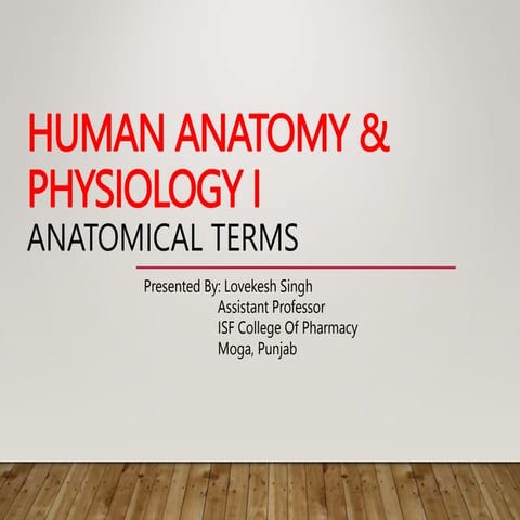 4. Anatomical terms.ppt