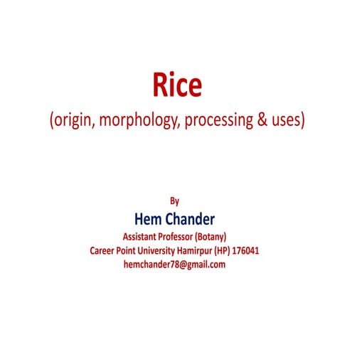 4. Rice.pdf