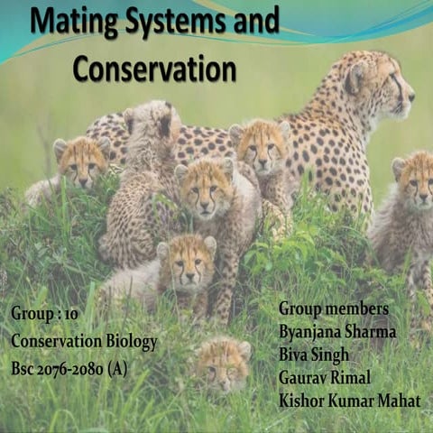 Mating-and-Conservation.pptx