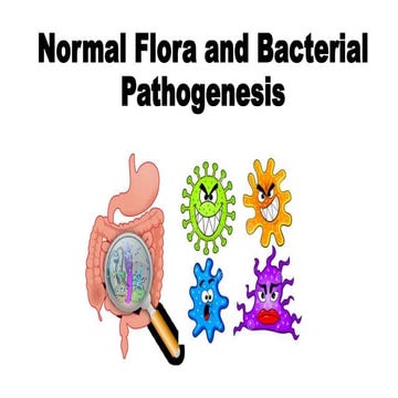 4. Normal Flora and Bacterial Pathogenesis.pptx | Infectious Diseases | Diseases and Conditions
