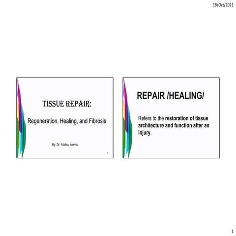 Tissue repair, regeneration and wound healing (1) | PPT