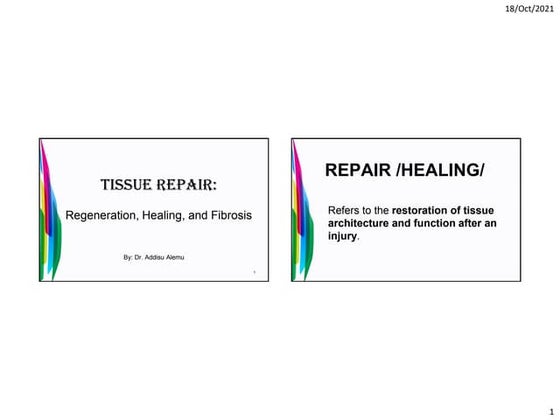Tissue repair, regeneration and wound healing (1) | PPT | Biological ...