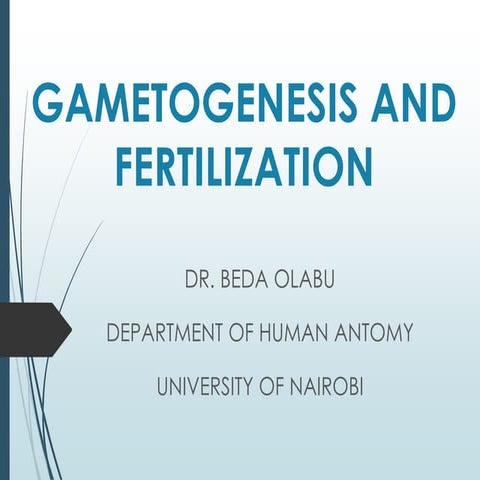 4. GAMETOGENESIS-2c FERTILIZATION AND FEMALE CYCLES.pdf