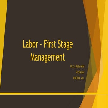 4. Labour - 1st Stage - Management-1.pptx